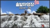 군위 동산계곡 솔밭야영장 당일 평상 대여 및 오토캠핑장 네이버 블로그